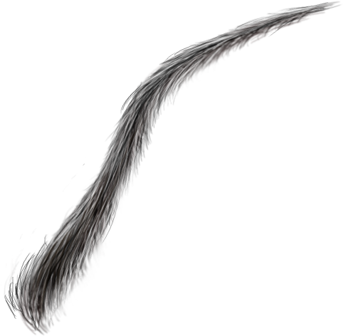 Clip Art Freeuse Download Eyebrow Texture Png For Free - Eyebrow ...