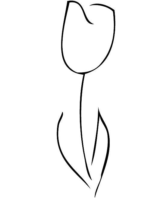 Block - - White Tulip Fringe Png - (579x697) Png Clipart Download