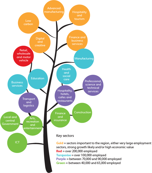 Tree2 - Diagram - (648x733) Png Clipart Download
