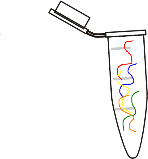 Eppendorf Tube With Open Cap Clip Art At Clker Com - Dna Tube Clipart ...