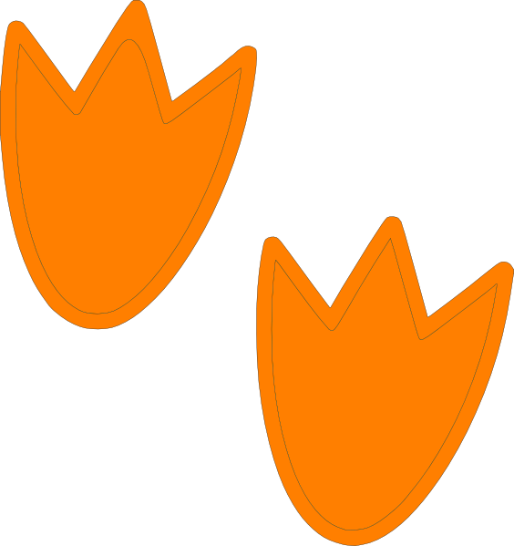Duck Foot Clip Art - (564x599) Png Clipart Download