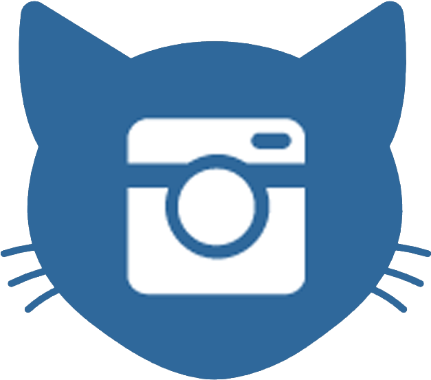 Youtube Follow Us Instagram - Icon Vector Cat Face - Full Size PNG ...