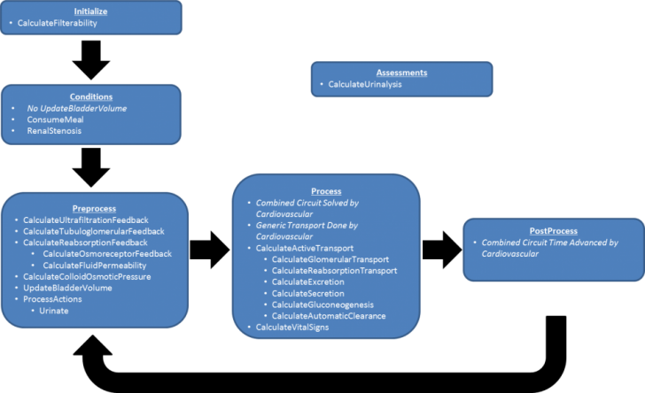 Urinary System Renal Flow Chart Diagram Wiring Diagram - Reabsorption ...