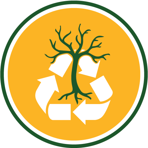 Cartoon Tree Branch Drawing - (512x512) Png Clipart Download