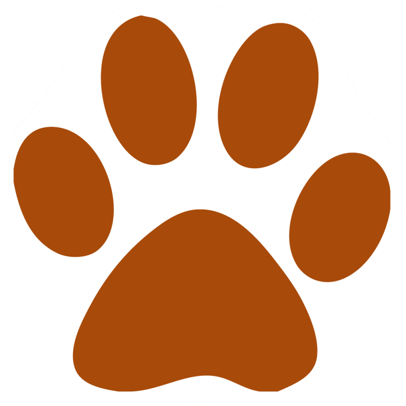Orange Cat Clipart - Purple Cat Paw Print - (800x800) Png Clipart Download