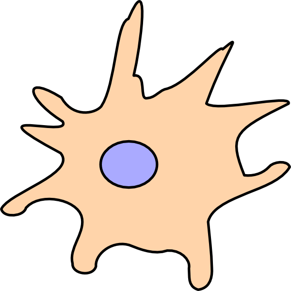 Cell Clip Art - (600x600) Png Clipart Download