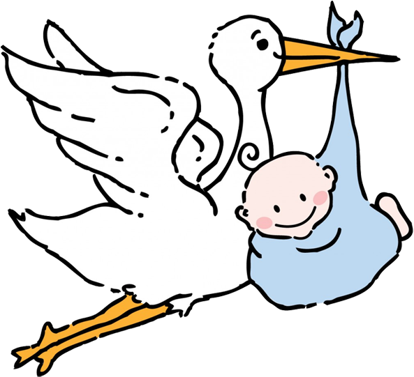 Babies - Stork Baby - Full Size PNG Clipart Images Download