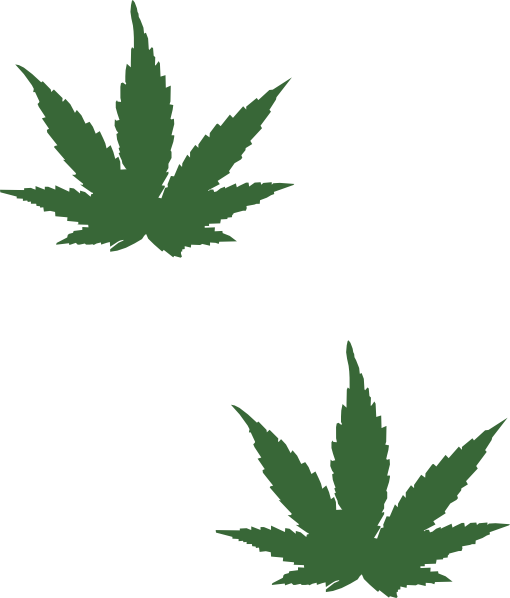 Small Weed Plant Drawing - Full Size PNG Clipart Images Download