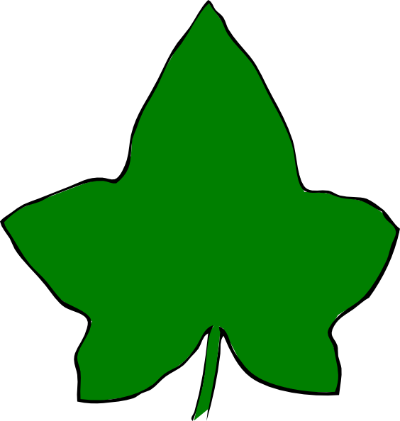 Ivy Leaf Aka Transparent - (564x594) Png Clipart Download