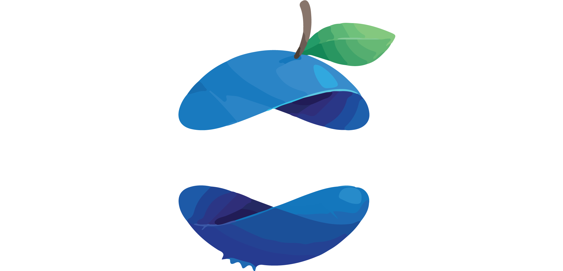 Blueberry Logos - (2184x1032) Png Clipart Download