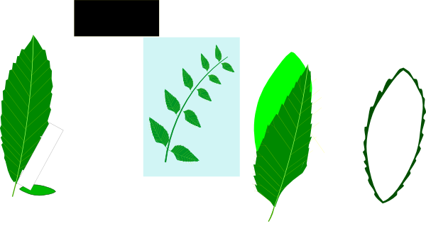 Medicinal Leaves Clip Art - Neem Leaf Clip Art - (600x319) Png Clipart Download
