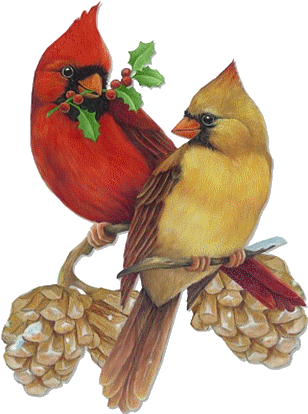 Christmas Cardinal Stock Images, Royalty-free Images - Male And Female ...