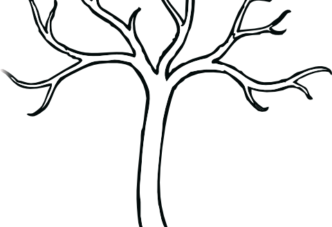 Luxury Tree Trunk Coloring Page Bare Clip Art Vector - Bare Tree Clip ...