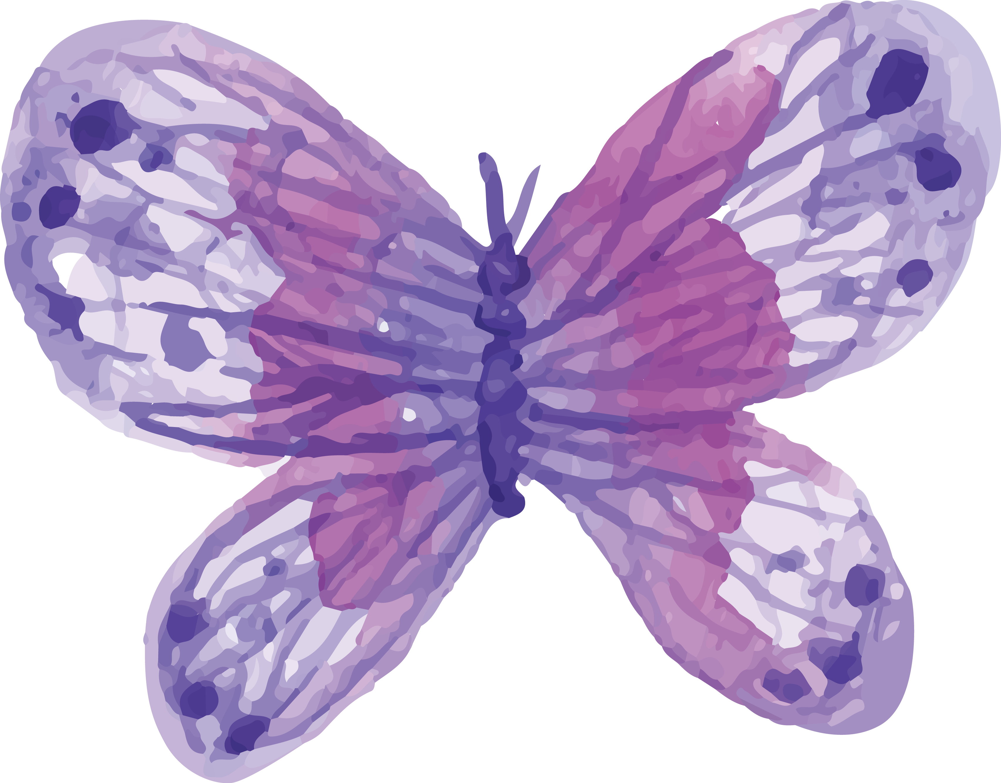 Butterfly Watercolor Painting - Watercolor Painting - (3410x2668) Png ...