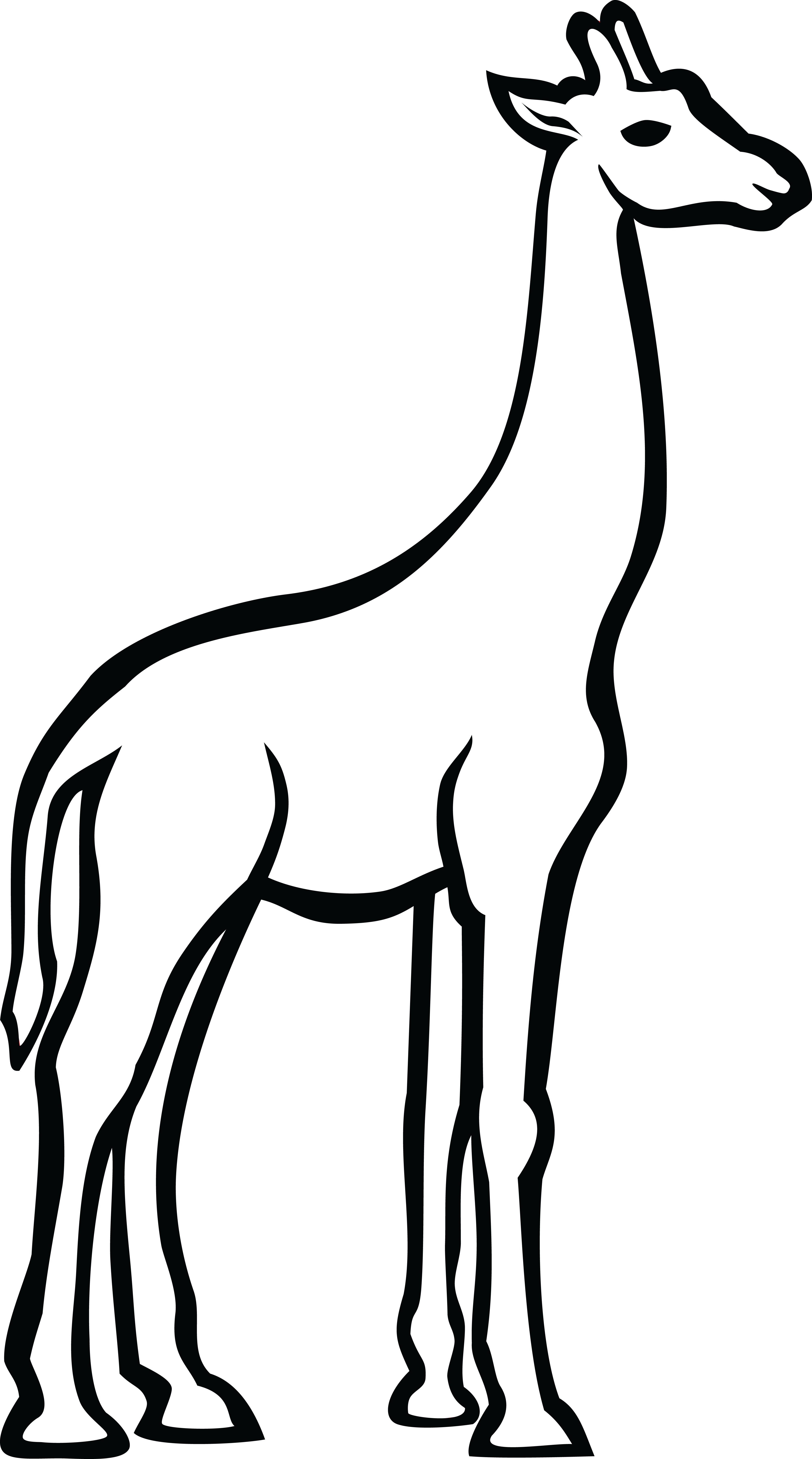 Free Clipart Of A Giraffe - Black And White Line Drawing Giraffe Png ...