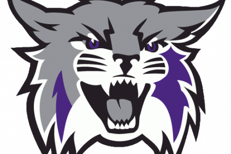 Wildcat Clipart Wildcat Head - Weber State Wildcats Mascot - (450x300 ...