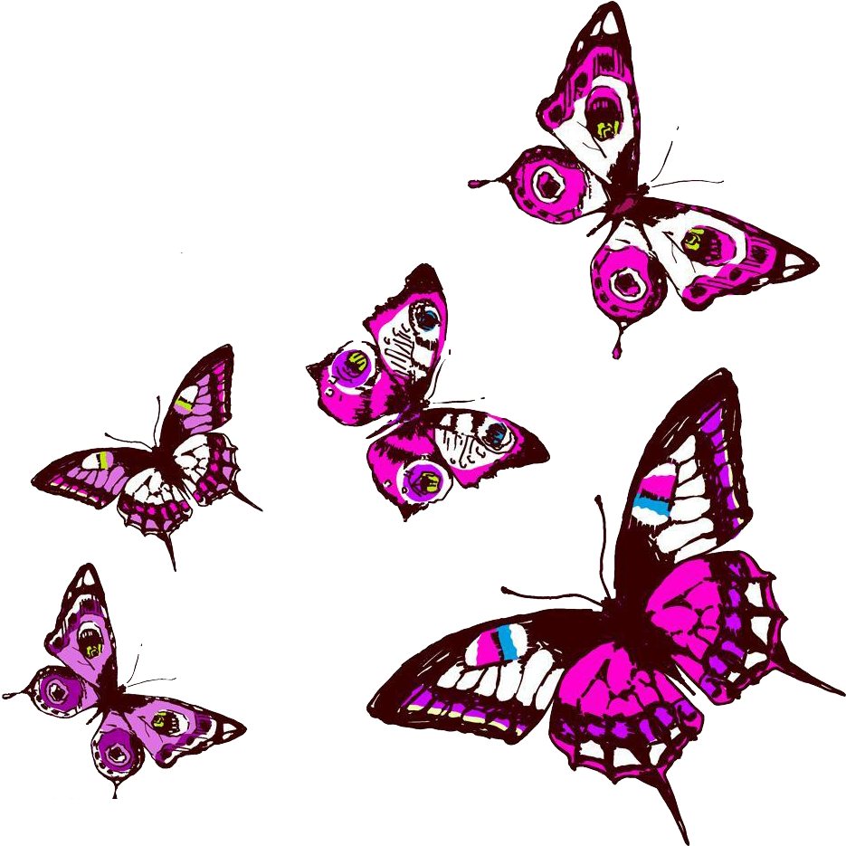 Butterfly Adobe Illustrator Clip Art - Butterfly - (1000x1000) Png ...