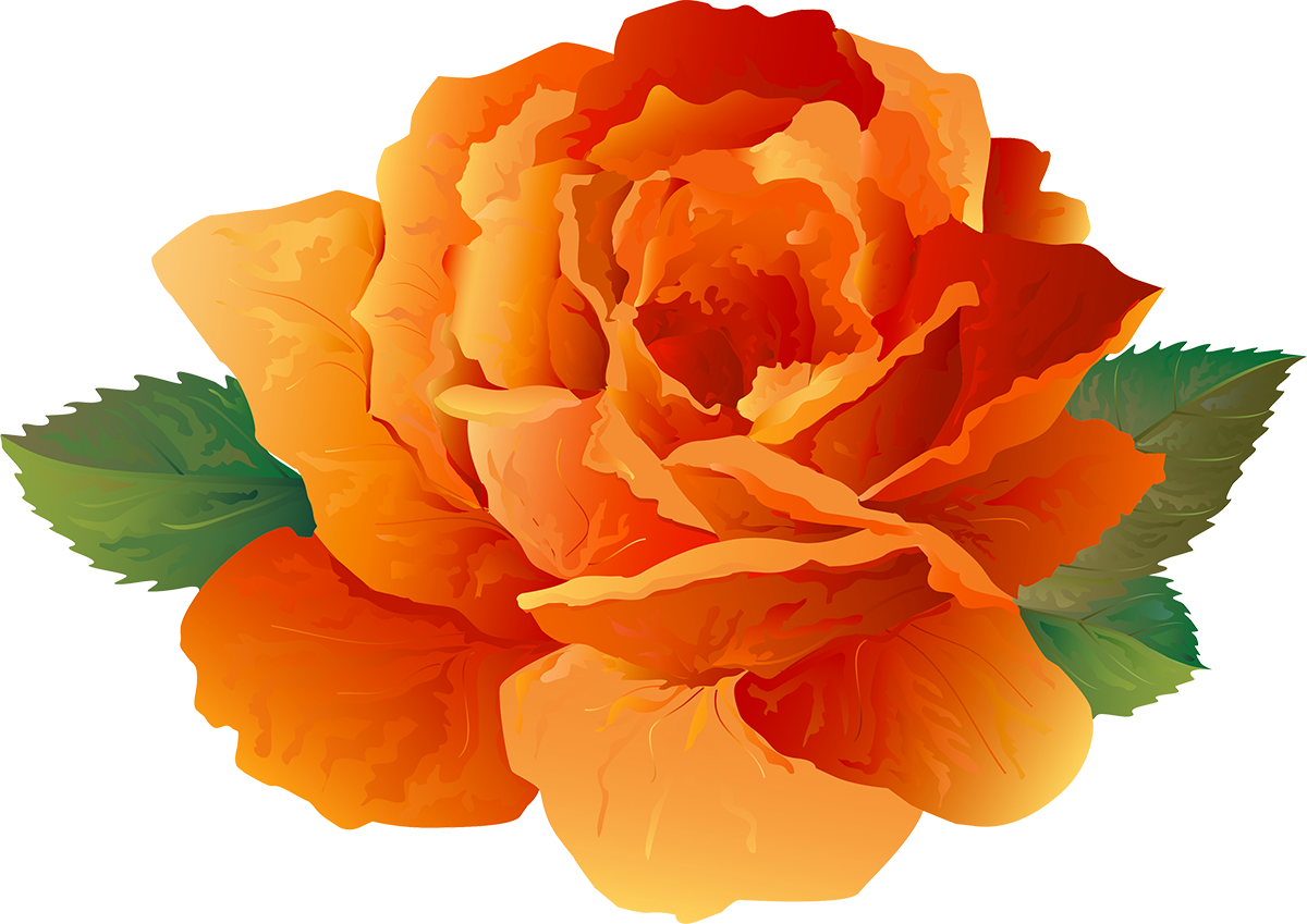 Drawing Clip Art - Drawing Clip Art - (1200x849) Png Clipart Download