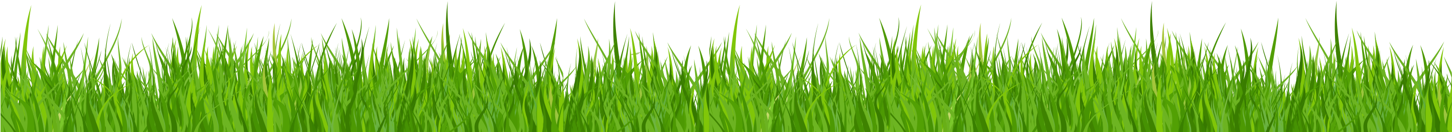Grass Clipart No Background - Grass Bottom Green Png - (2842x296) Png ...