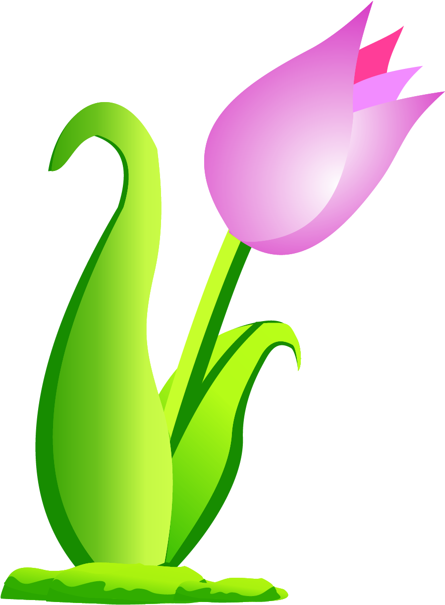 Flower Png Cdr File Free Download at Marisa Otero blog