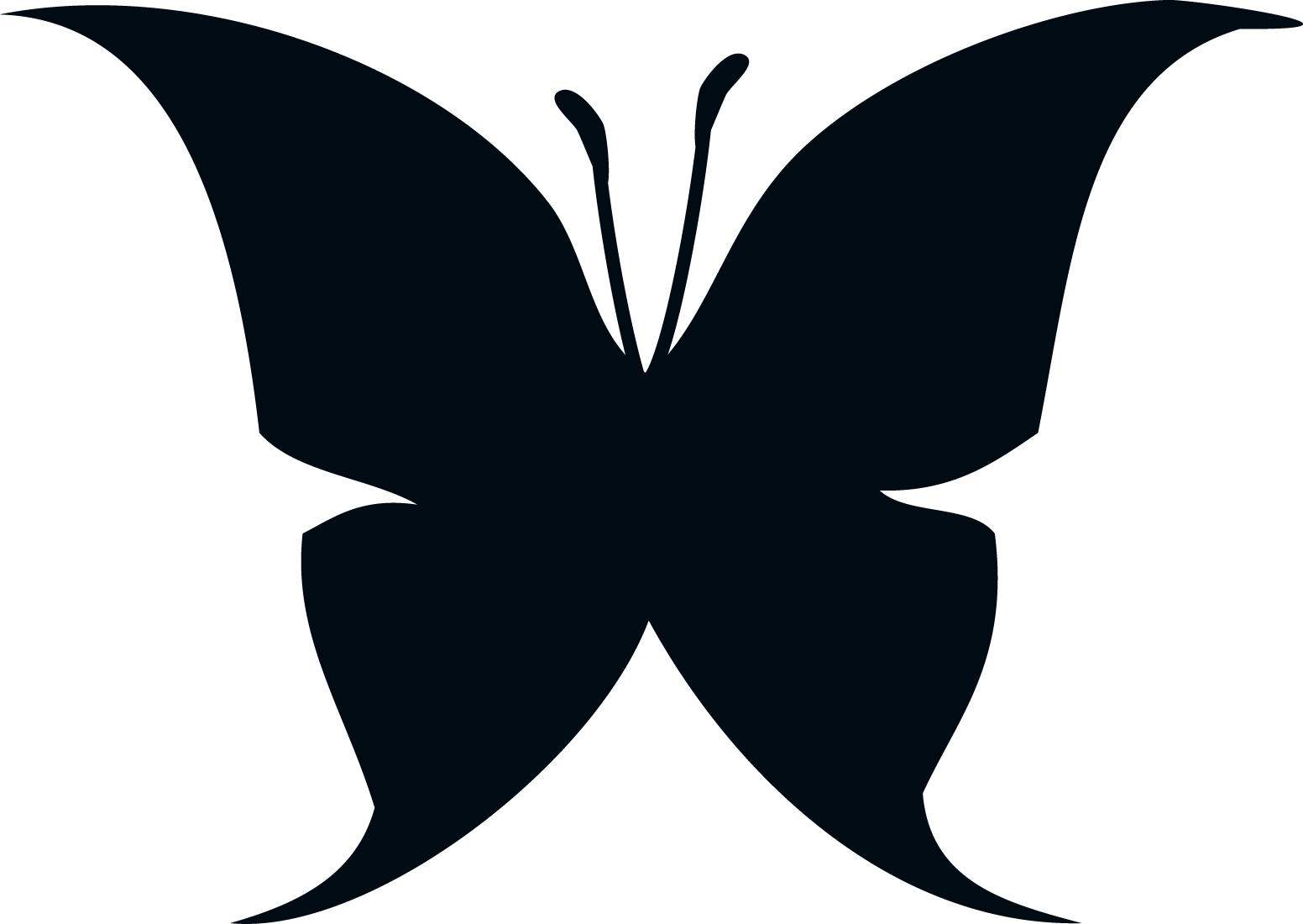 Butterfly Silhouette Drawing Clip Art - Butterfly Shadow Png ...