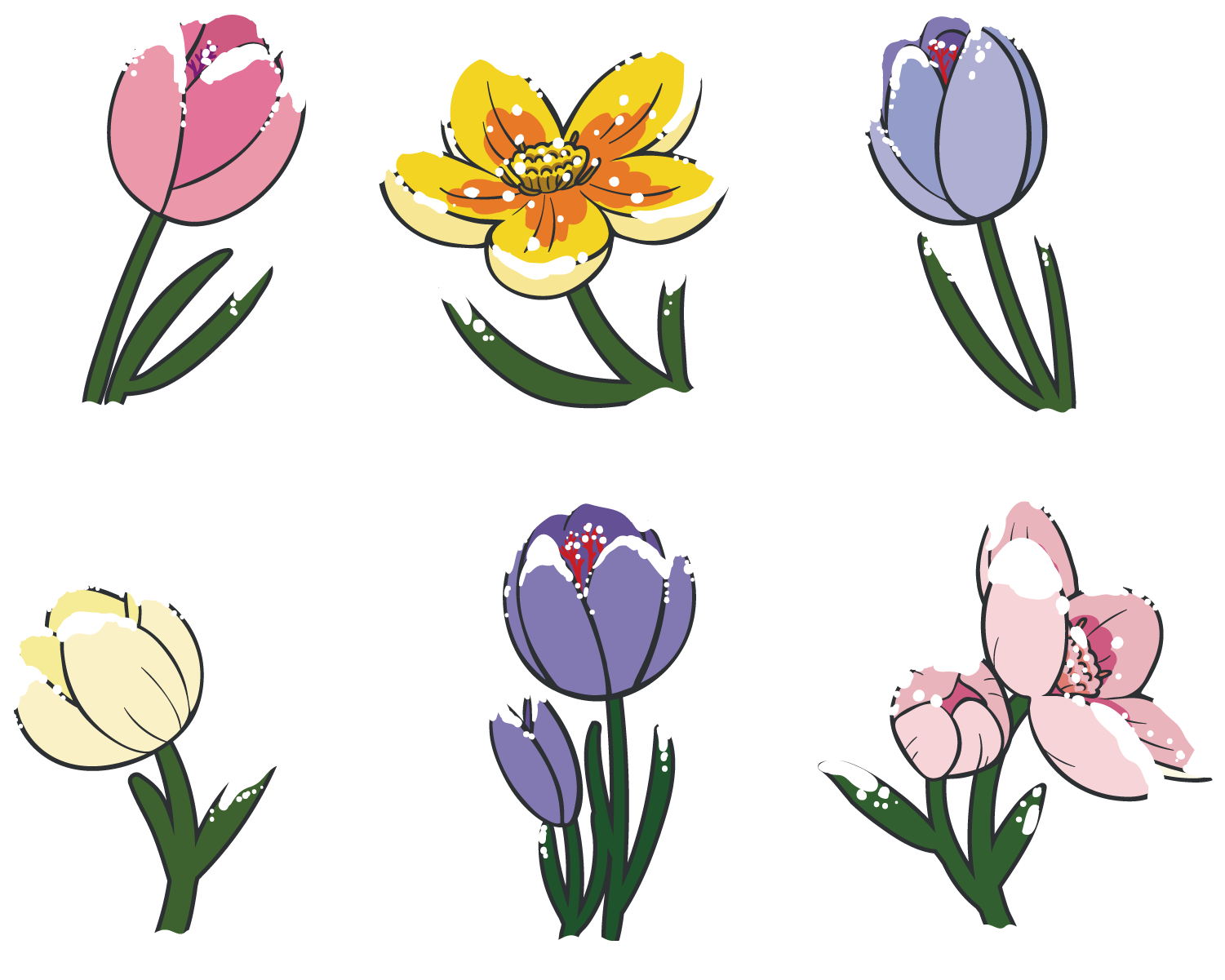 Tulip Floral Design Flower Clip Art - Tulip Floral Design Flower Clip ...