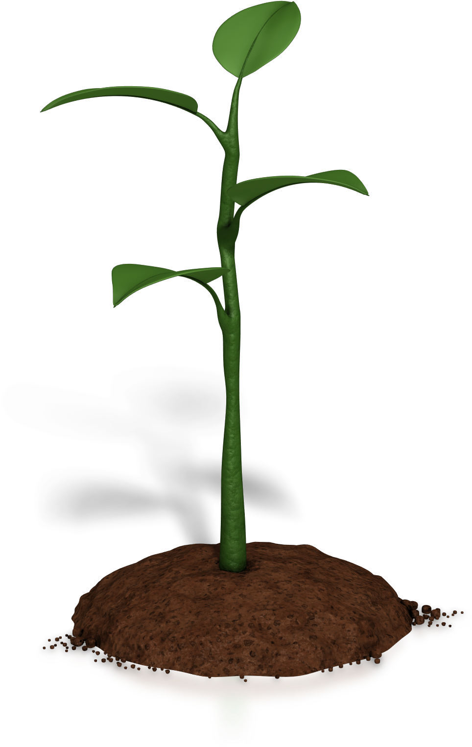 Free Crops Growing Clipart - Microsoft Powerpoint - (1000x1600) Png ...
