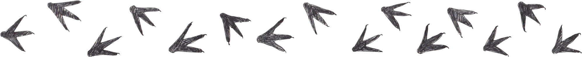 Chicken Tracks Clip Art - Swallow - (2000x244) Png Clipart Download