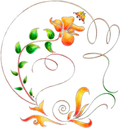 Fancy Flower Design Png Floral Design Psd Free Vector - Flower Designs ...