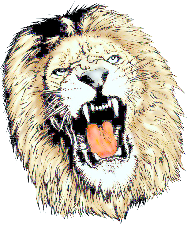 Free Icons Png - Lion Transparent - (617x745) Png Clipart Download