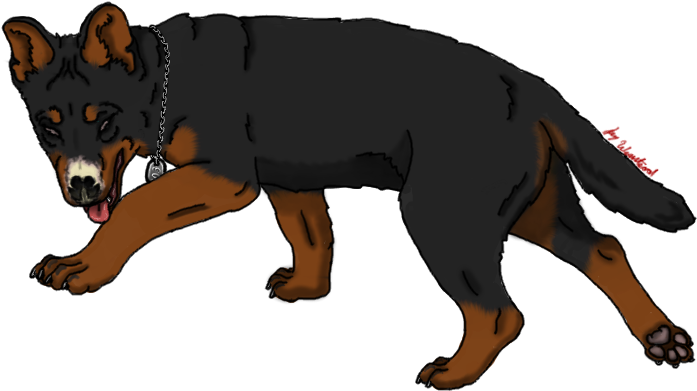 War Wolf - Dog Catches Something - (750x425) Png Clipart Download
