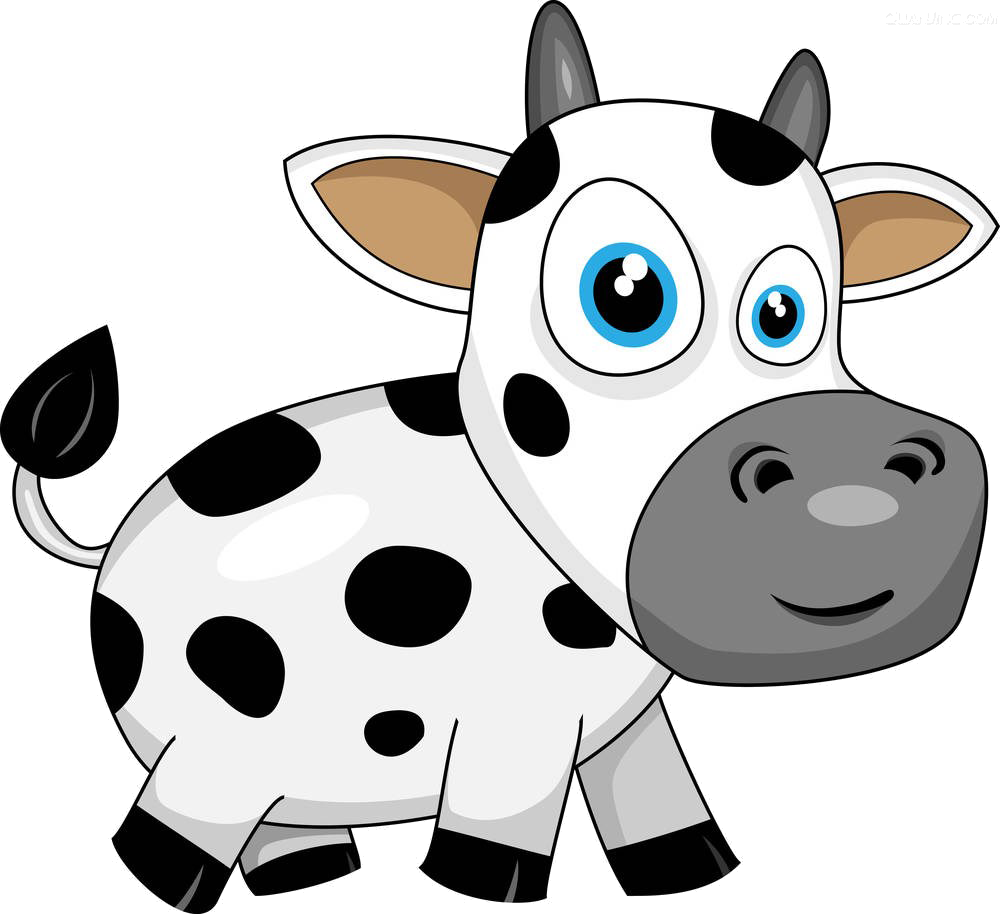 Cattle Calf Drawing Illustration - Cartoon Calf - (1000x914) Png ...