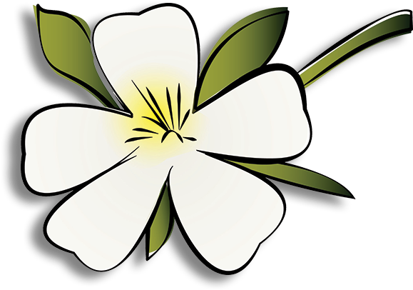 Zeta Tau Alpha Flower - Zeta Tau Alpha White Violet - (600x600) Png ...