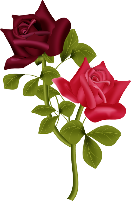 Churrasqueira, Pintura Em Tecido, Moldura, Clipart - Two Flowers Clip ...