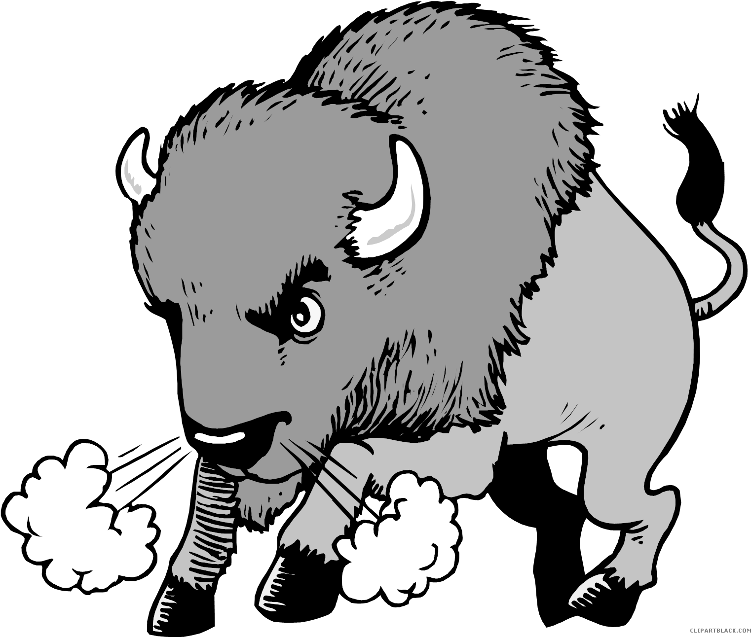 Buffalo Animal Free Black White Clipart Images Clipartblack - Bull ...