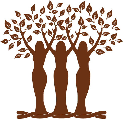 Whc Logo - Logo - (500x486) Png Clipart Download