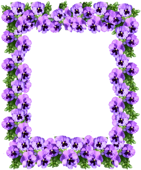 Free Floral Borders - Border Frame Flower Purple - (589x720) Png ...