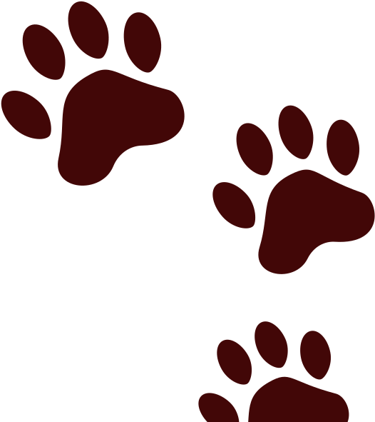 Cat Paw Print - Emoticon - Full Size PNG Clipart Images Download