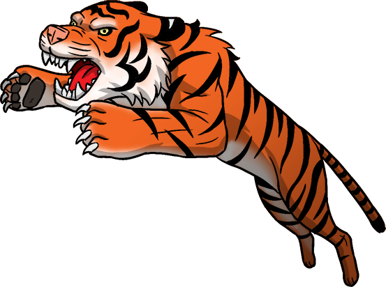 Attacking Tiger - Attacking Tiger Clip Art - (553x412) Png Clipart Download