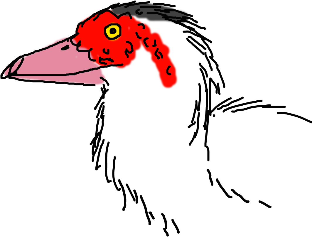 Untitled Drawing By Hunterstrait - Drawing - (1350x1020) Png Clipart ...