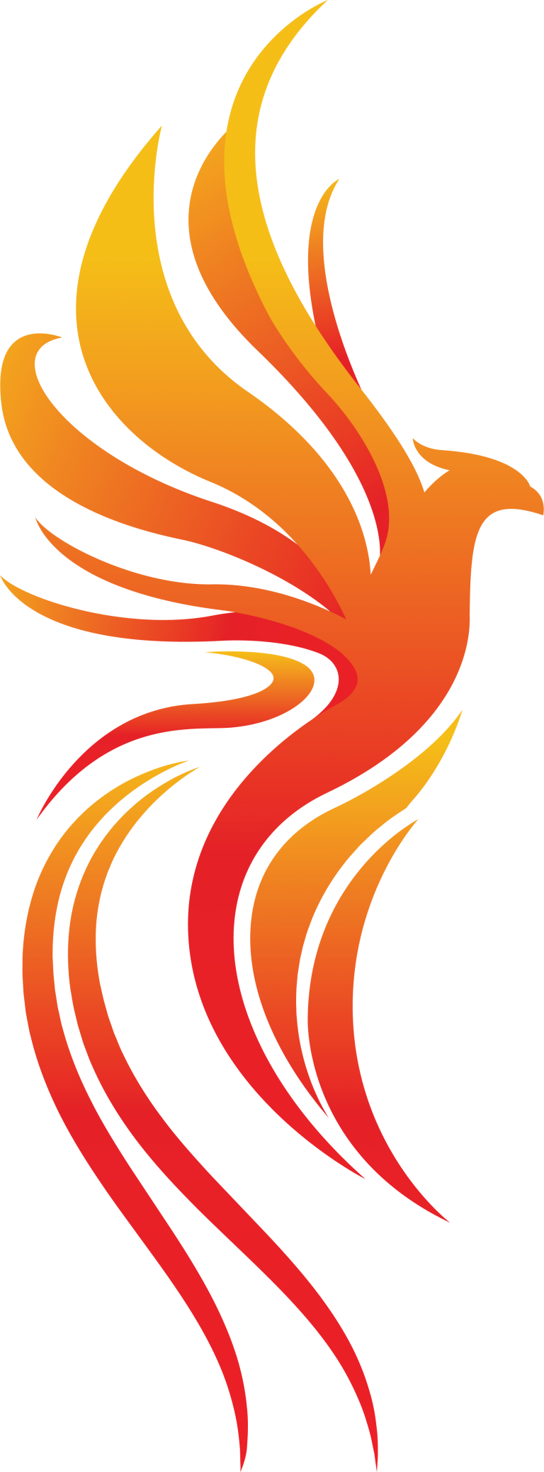 Firebird Cliparts - Fire - (768x2077) Png Clipart Download