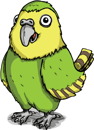 Kakapo Cartoon - (392x518) Png Clipart Download
