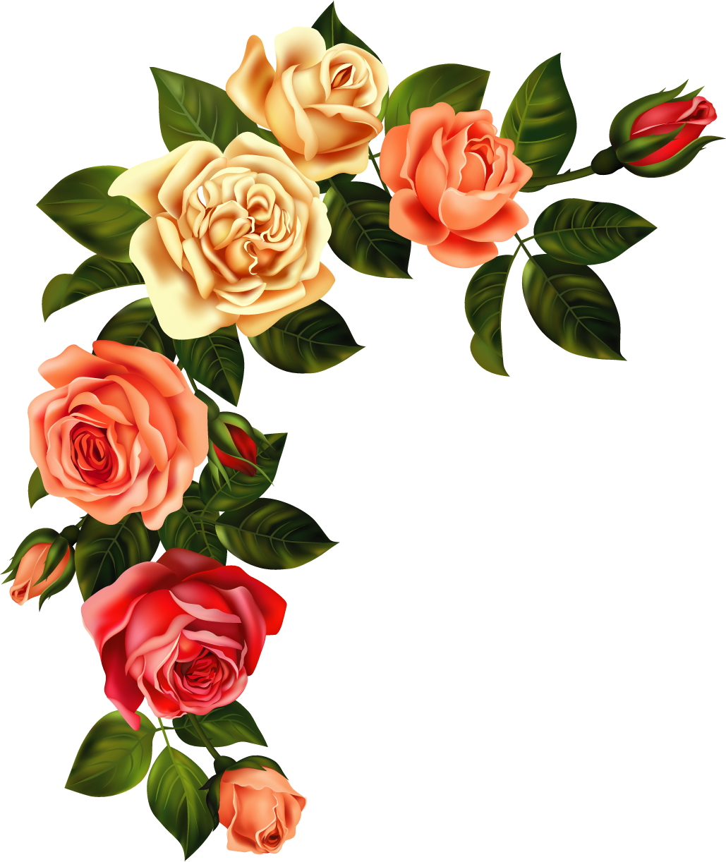 Vintage Clip Art - Boarder Border Flower Designs - (1029x1222) Png ...