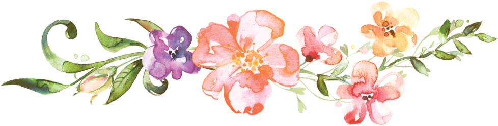 Web Divider 01 - Watercolour Divider Png - (1000x331) Png Clipart Download