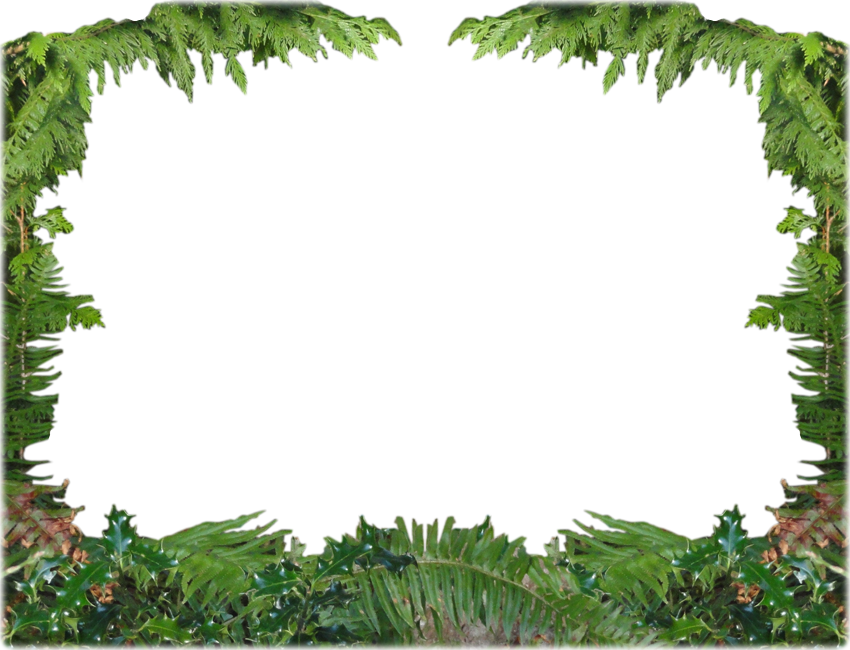 Forest Frame Cliparts - Forest Frame Png - Full Size PNG Clipart Images ...
