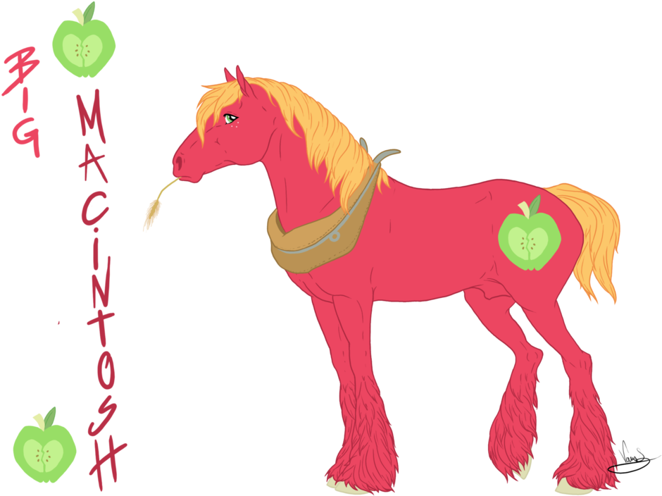 Realistic Big Macintosh By Vanycat - Mlp Realistic - (1024x775) Png ...
