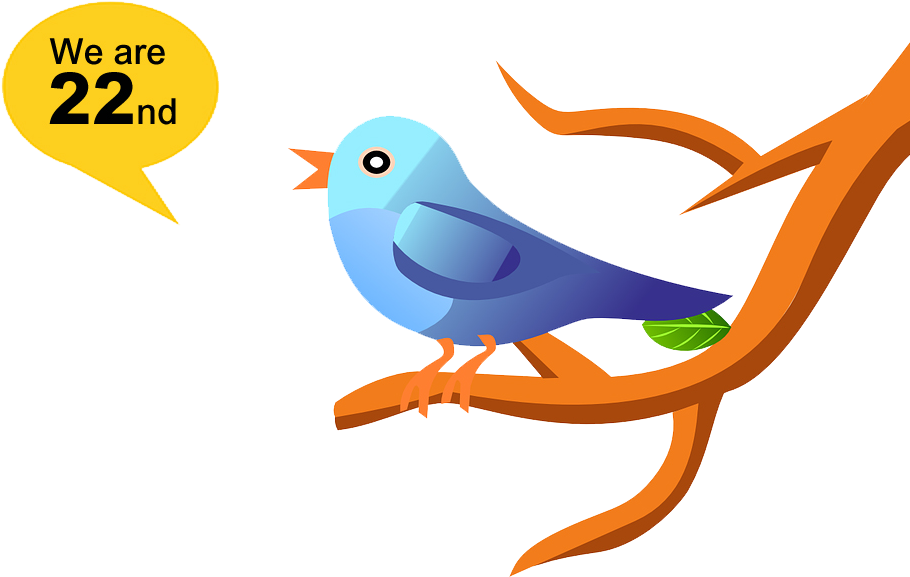 Tweet - Bird - (940x604) Png Clipart Download