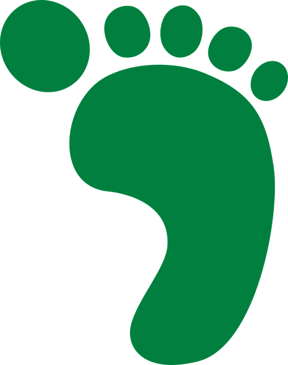 Footprint Clipart Cartoon - Foot Print - (567x720) Png Clipart Download