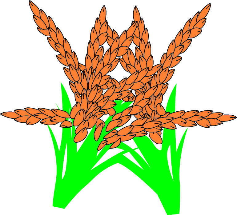 Cartoon Drawing - Wheat Cartoons - Cartoon Drawing - Wheat Cartoons ...