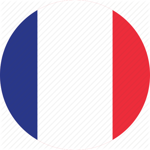 Circle, Circular, Country, Flag, Flags, France, French - E3 Spark Plugs ...